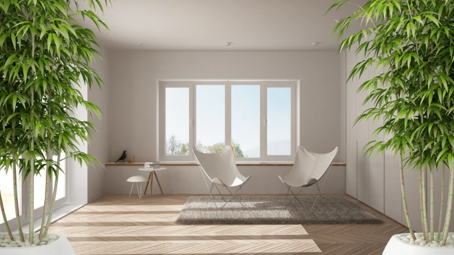 Zen-zones: feng shui voor de 21e eeuw | Belavi.nl